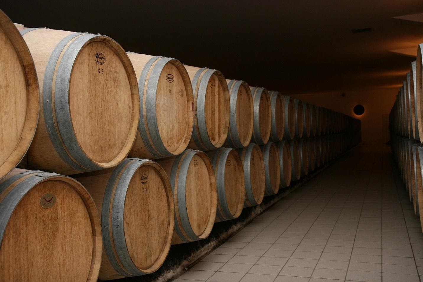 What You Need to Know About Winemaking and Storage | Swapna's Kitchen